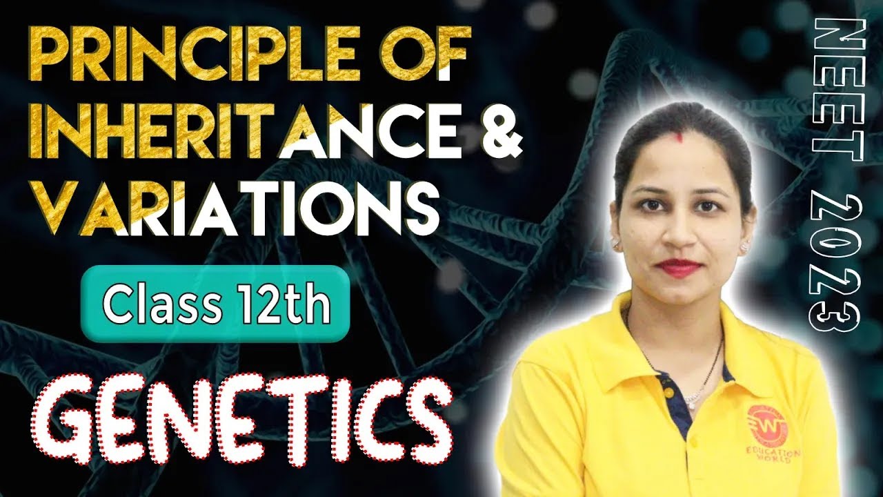 Principles Of Inheritance And Variation Class 12 Biology Genetics
