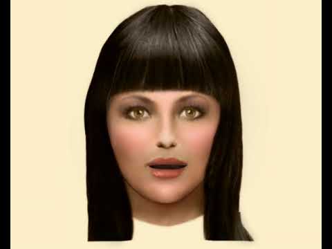 Crazy Talk Software Test  \