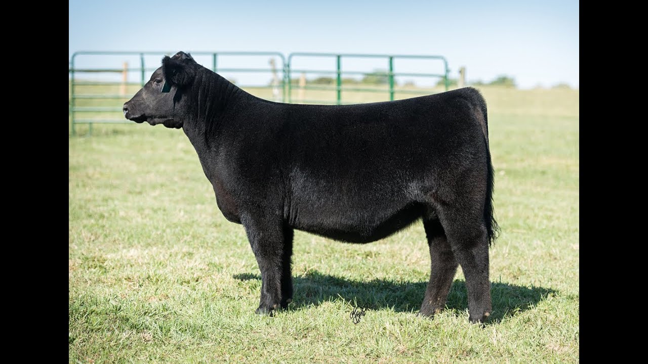 Green Oaks Tag 273 - YouTube