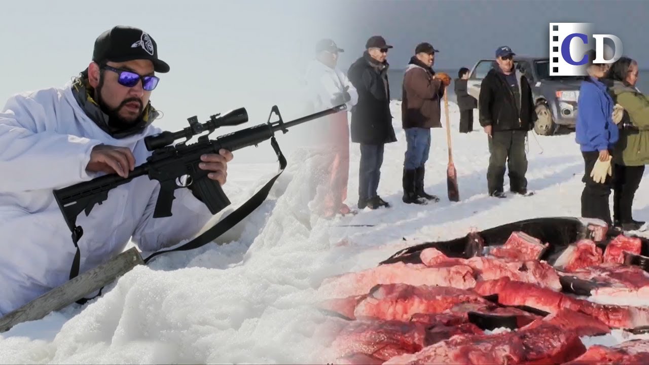 How do 100,000 Inuit people get food in the bleakest Arctic Circle ...
