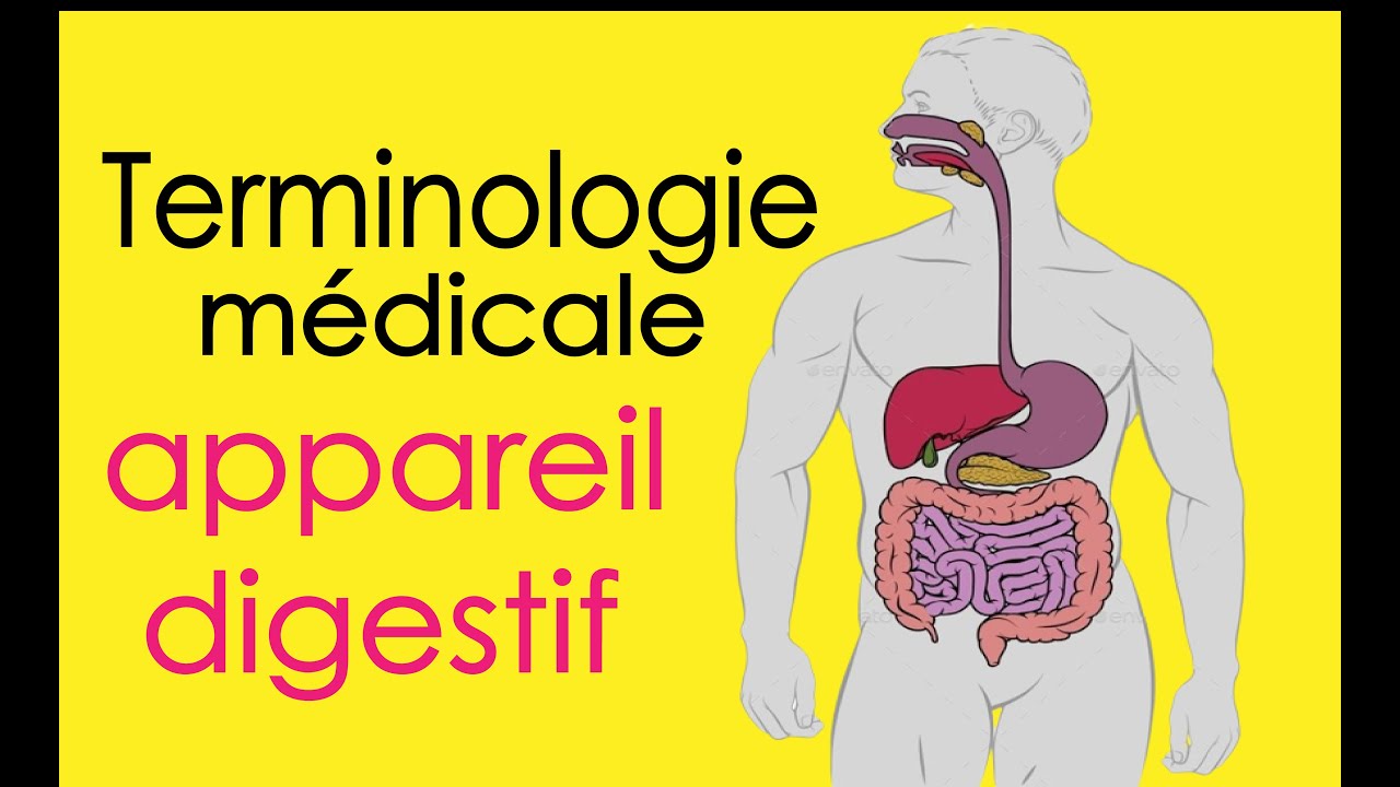terminologie médicale appareil digestif - YouTube