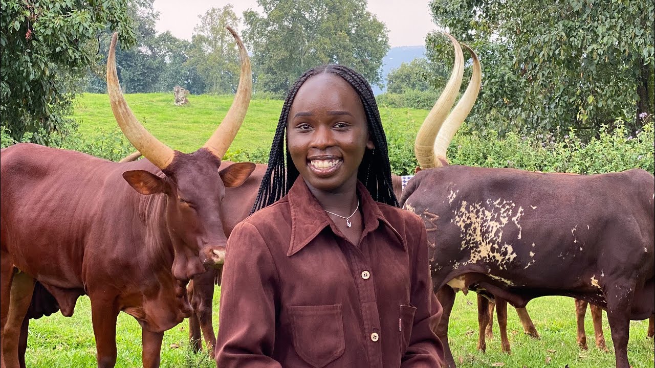 AMAZING MOMENT WITH INYAMBO COWS - YouTube