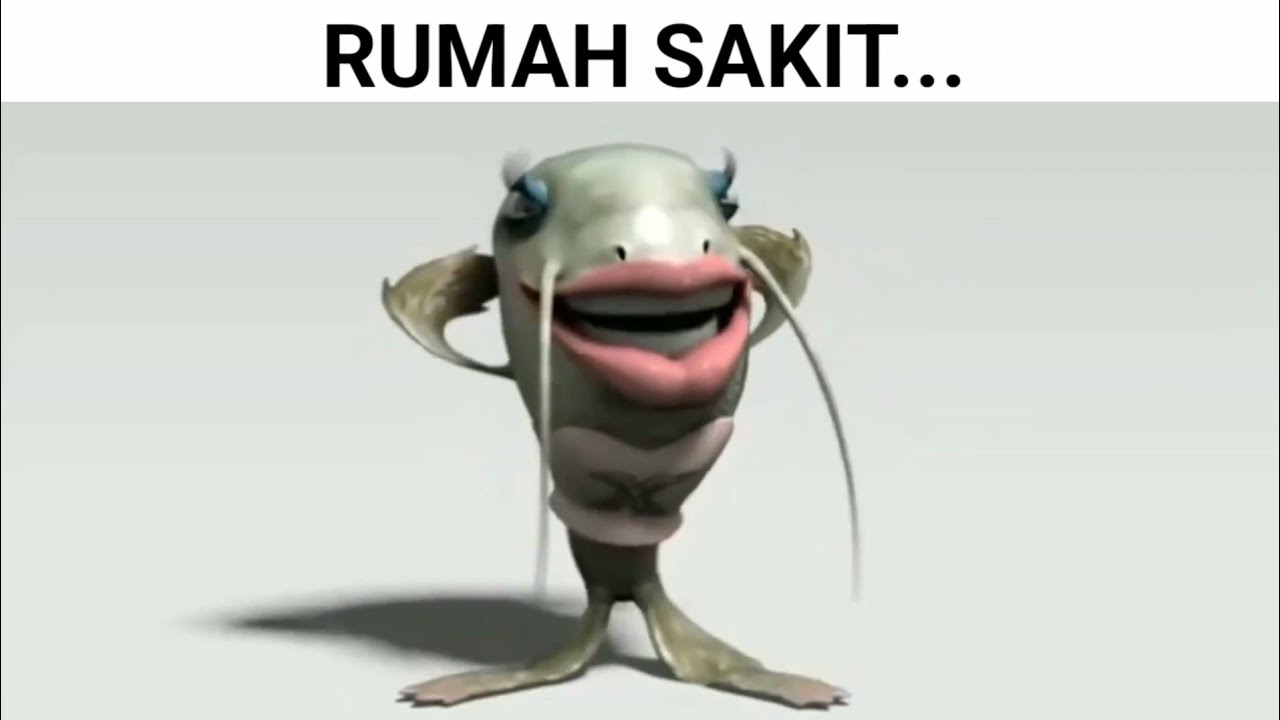 Rumah Sakit, Kapan Sembuhnya? (Meme Ikan Lele Bertanya) - YouTube