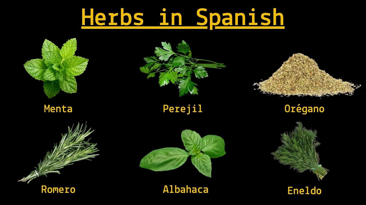 Herbs in Spanish - YouTube