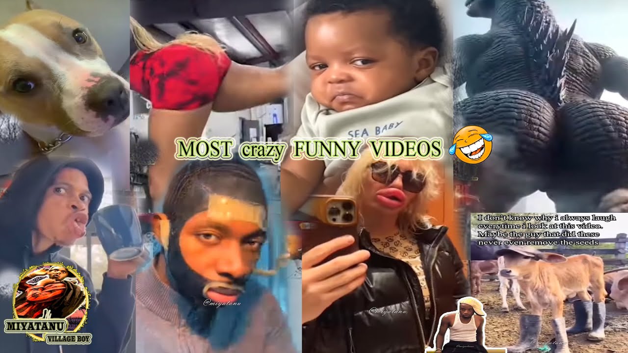 FUNNY VIDEOS EP8 FUNNIEST VIDEOS COLLECTION SHORTS, MEMES, COMEDY ...