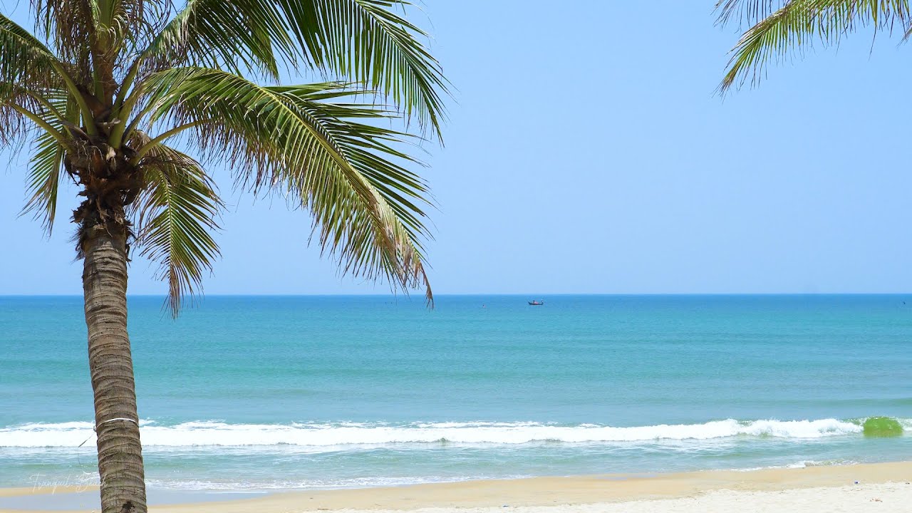 Relaxing Sounds with Ocean Waves, Calming Tropical Beach, White Noise ...