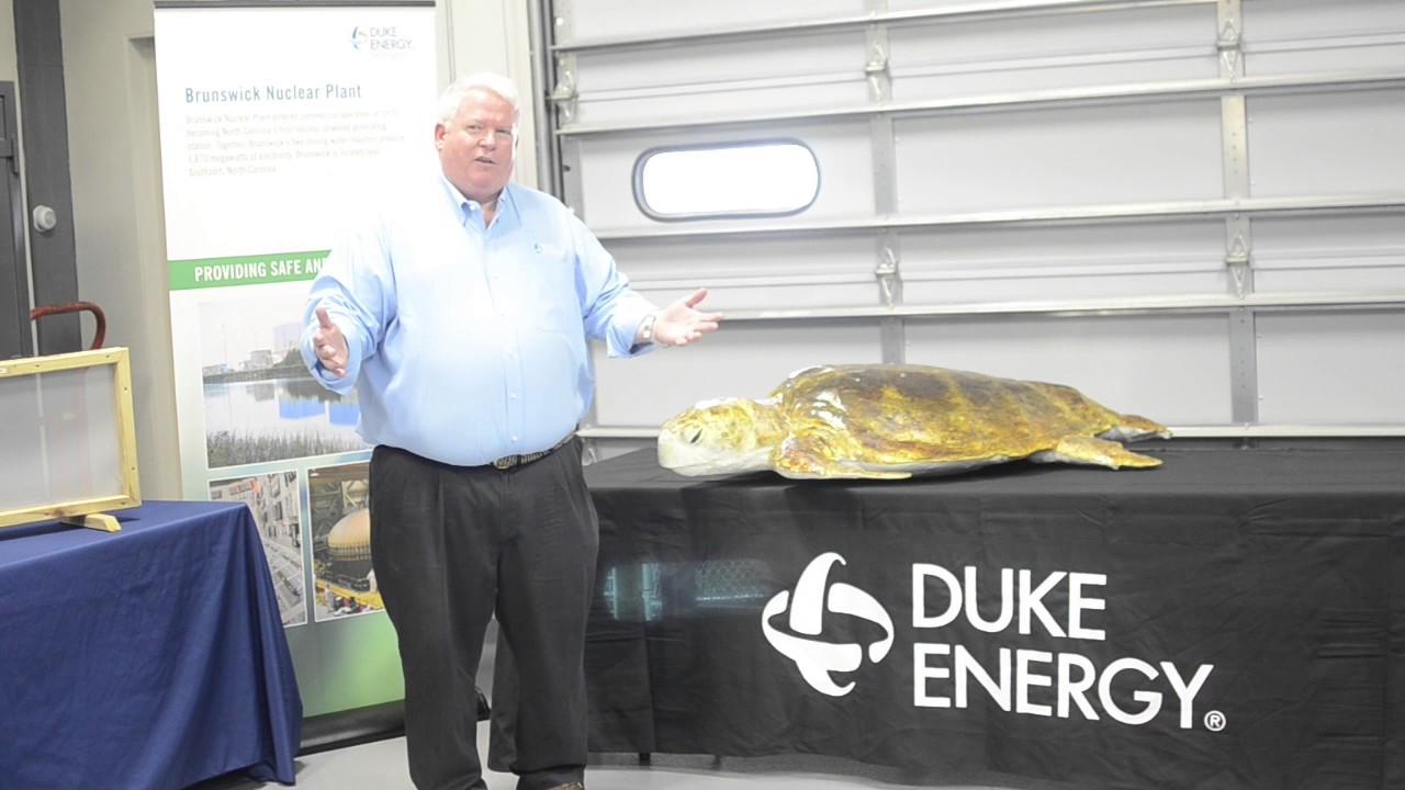 Randy Gideon explains the sea turtle program at Brunswick Nuclear Plant ...