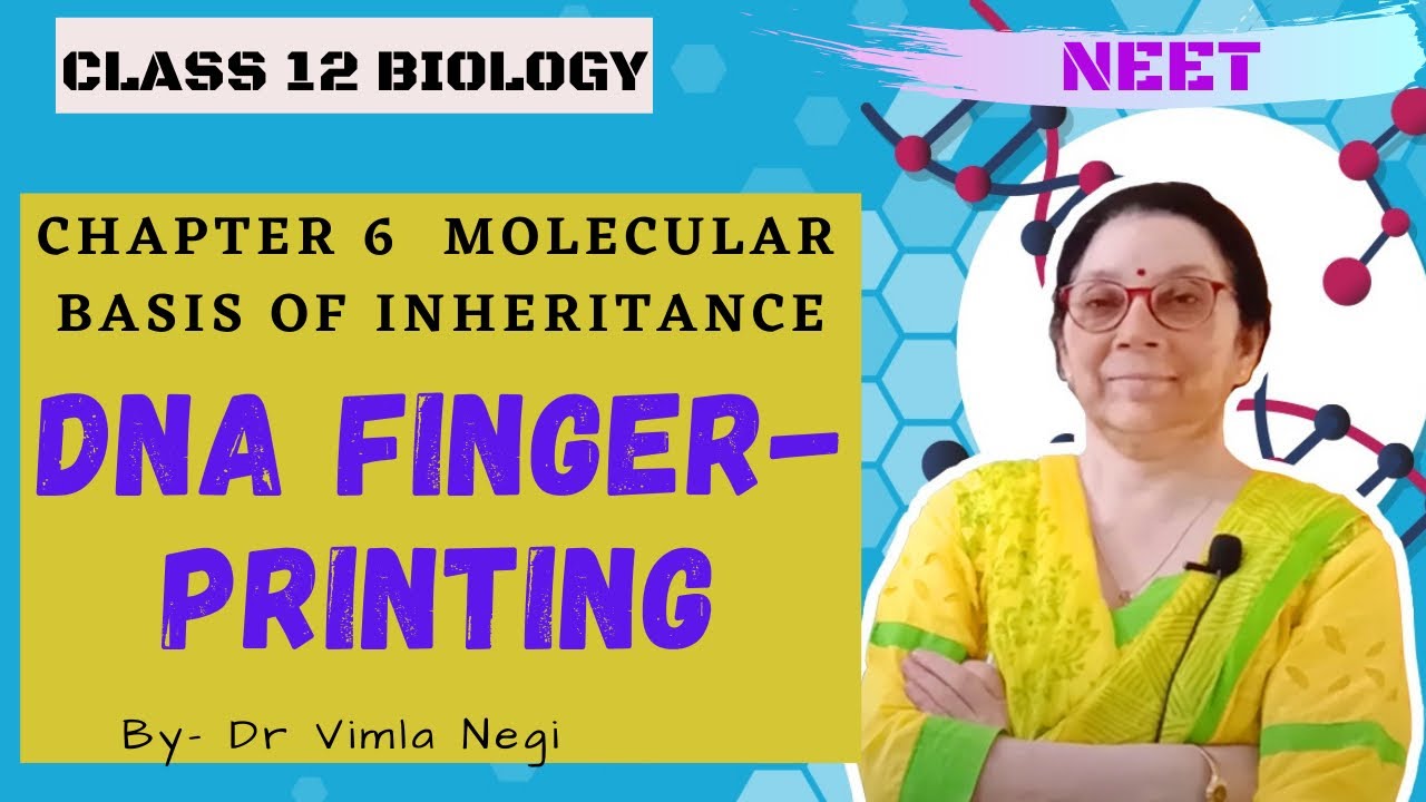 DNA Fingerprinting | Molecular Basis of Inheritance | NCERT Chapter 6 ...