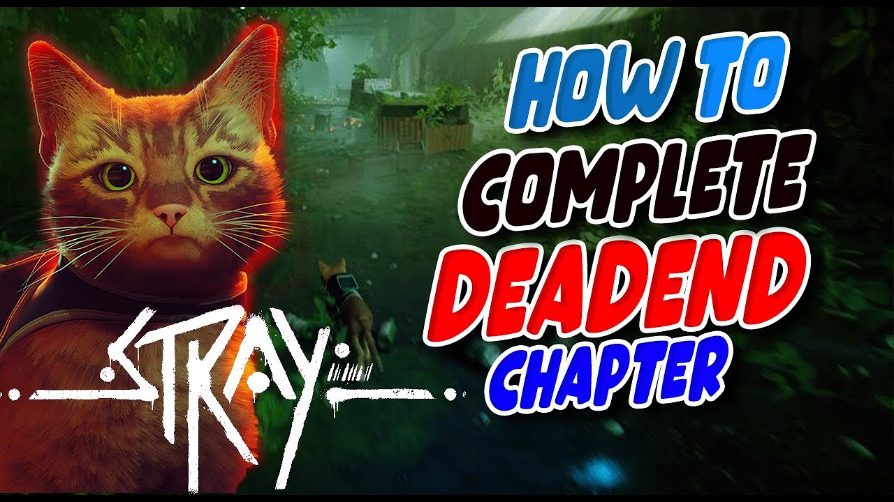Stray How To Complete Dead End Chapter - YouTube