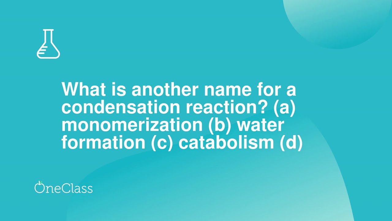 What Is Another Name For A Condensation Reaction A Monomerization B what-is-another-name-for-a-condensation-reaction-a-monomerization-b
