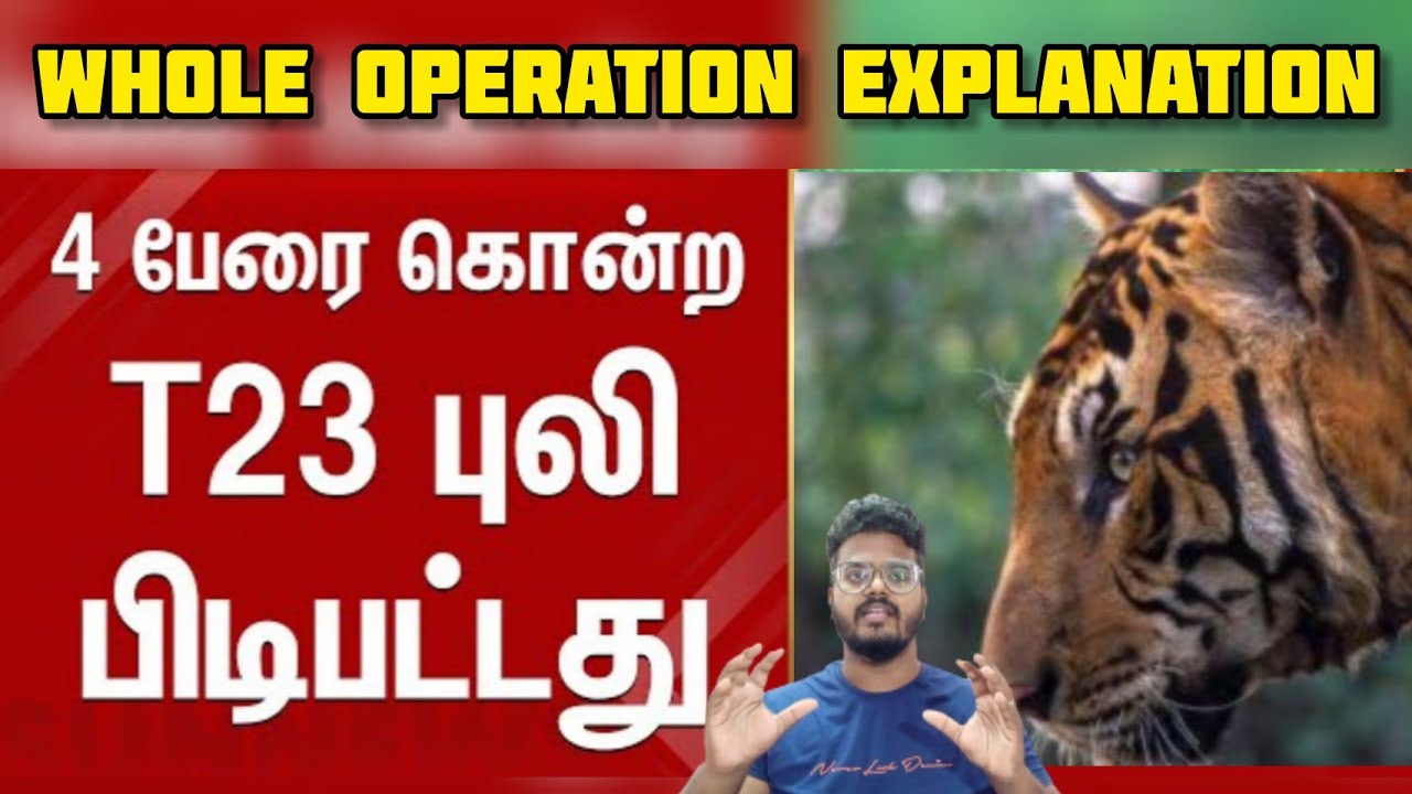 T23 Tiger Caught Explained | T23 Tiger Nilgiri | T 23 Cuddalore | T23 ...