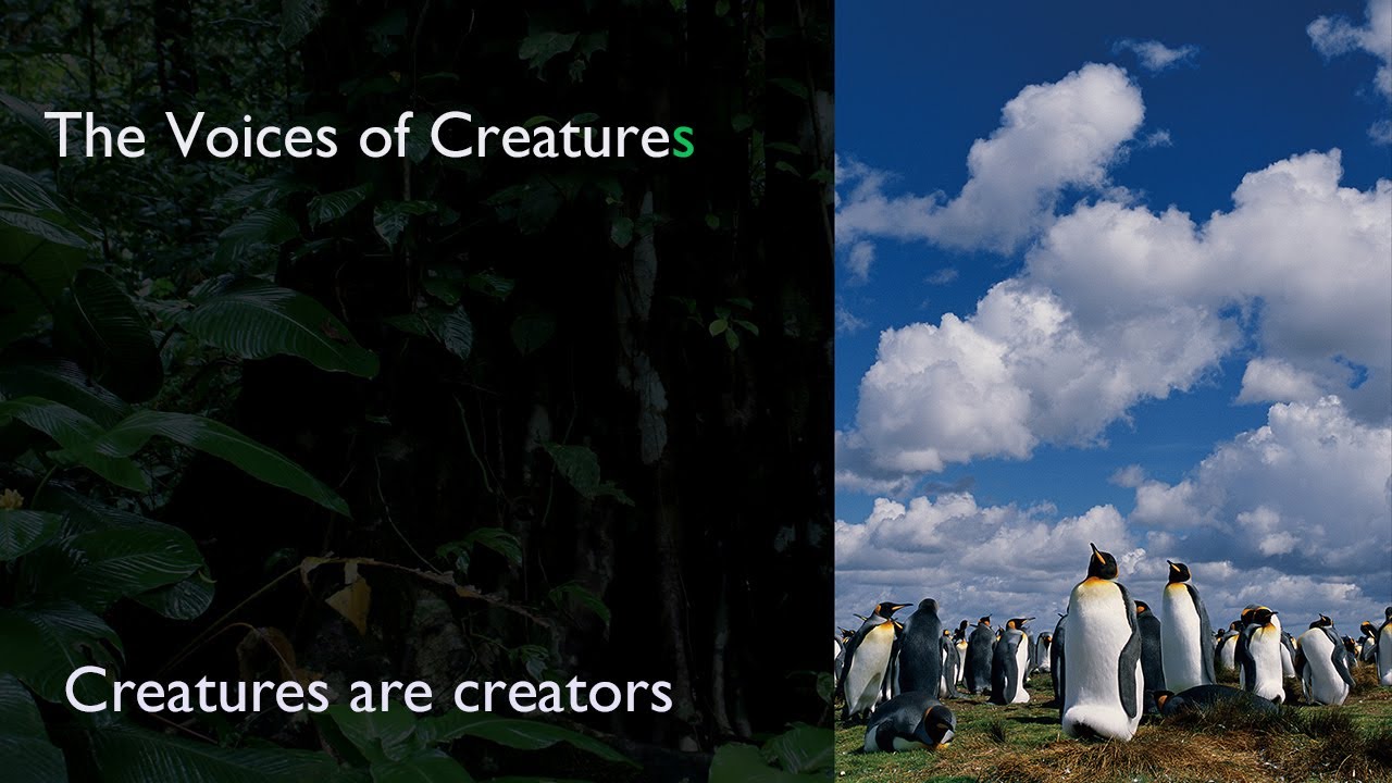 "The Voices of Creatures" by Creatures are creators - YouTube