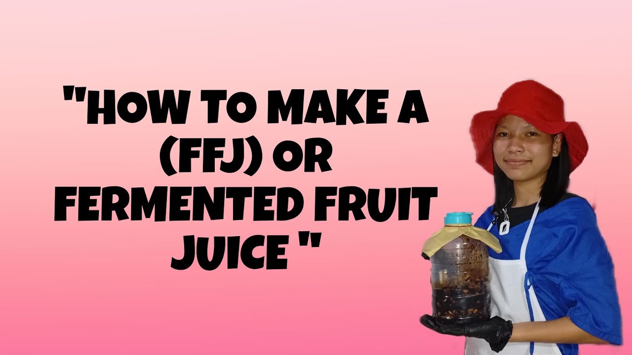 "HOW TO MAKE A FFJ OR FRUIT FERMENTED JUICE" - YouTube