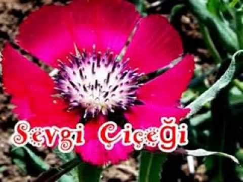HERŞEY SENİNLE GÜZEL -ZERRİN ÖZER -By Trkn-K