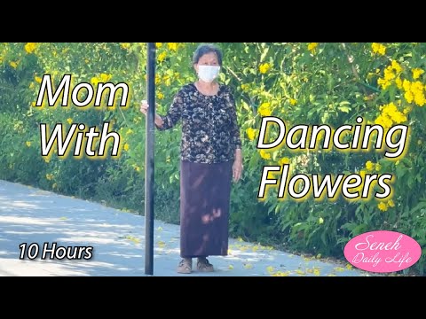 Enjoy The Beauty Of Dancing Spring Flowers With Music |10 hours| Fade ...