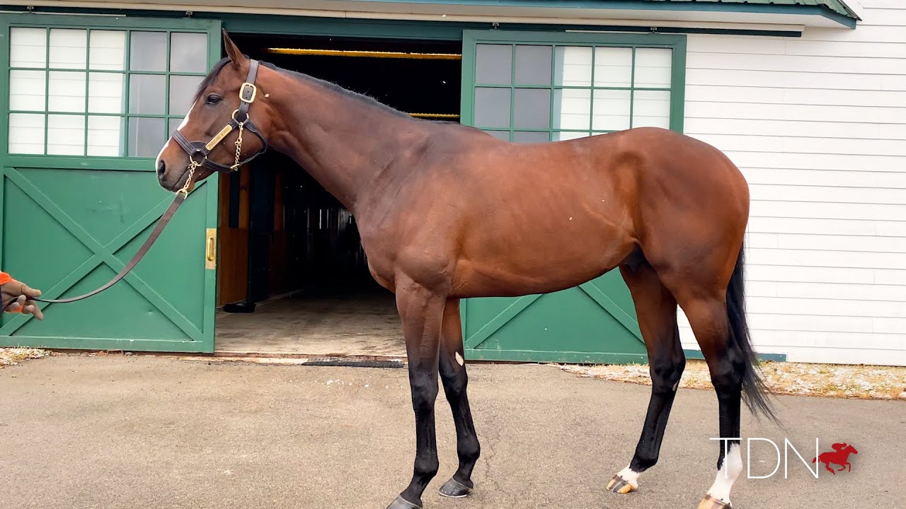 Thousand Words a Veritable Picture at Spendthrift - YouTube