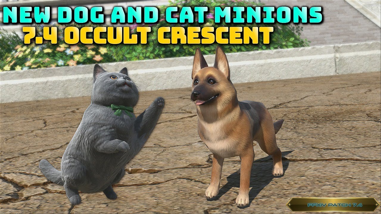 FFXIV: New Cat & Dog Minions - 7.4 - YouTube