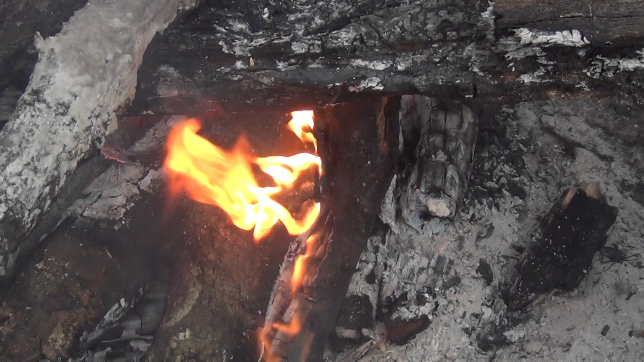 Piece Of Florida Fat Lighter Wood In Fire - YouTube