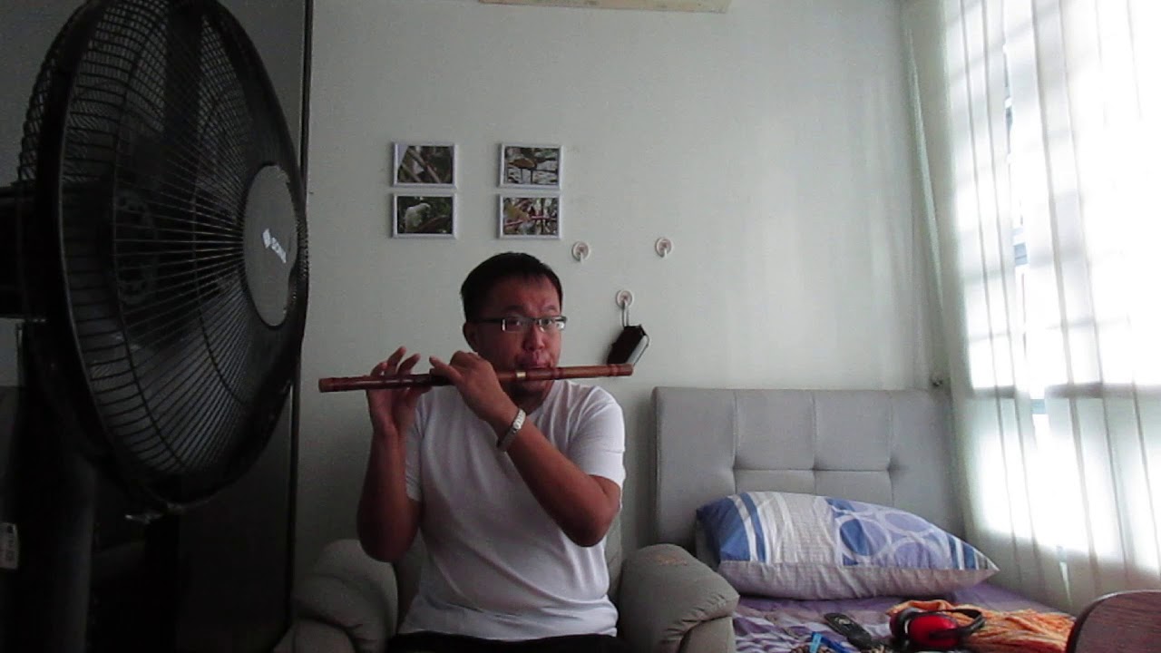 Dizi performance at home - YouTube