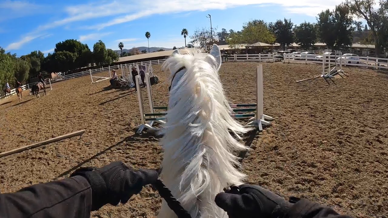 Big Moment with a Small Oxer!-Jumping Lesson December 26th 2024 - YouTube