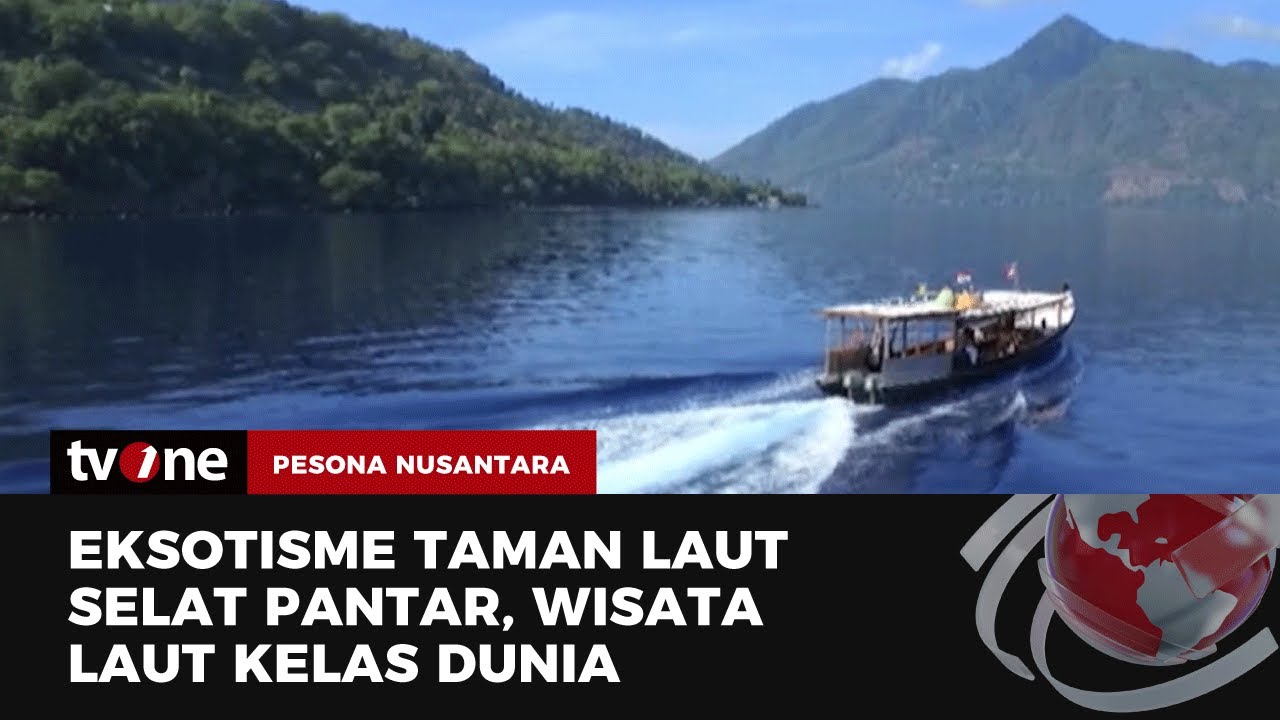 Taman Laut Selat Pantar, Pesona Keindahan Bawah Laut Nusa Tenggara ...