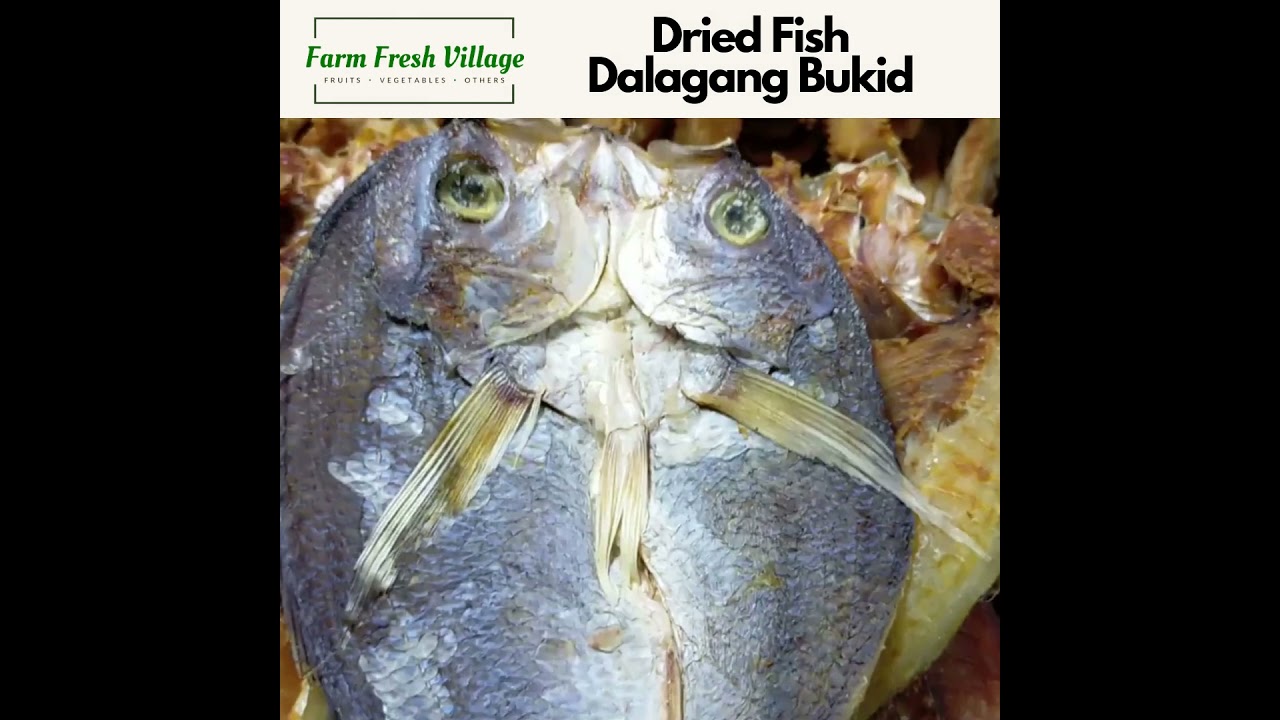 Video Dried Fish Dalagang Bukid for Lazada Farm Fresh Village store ...
