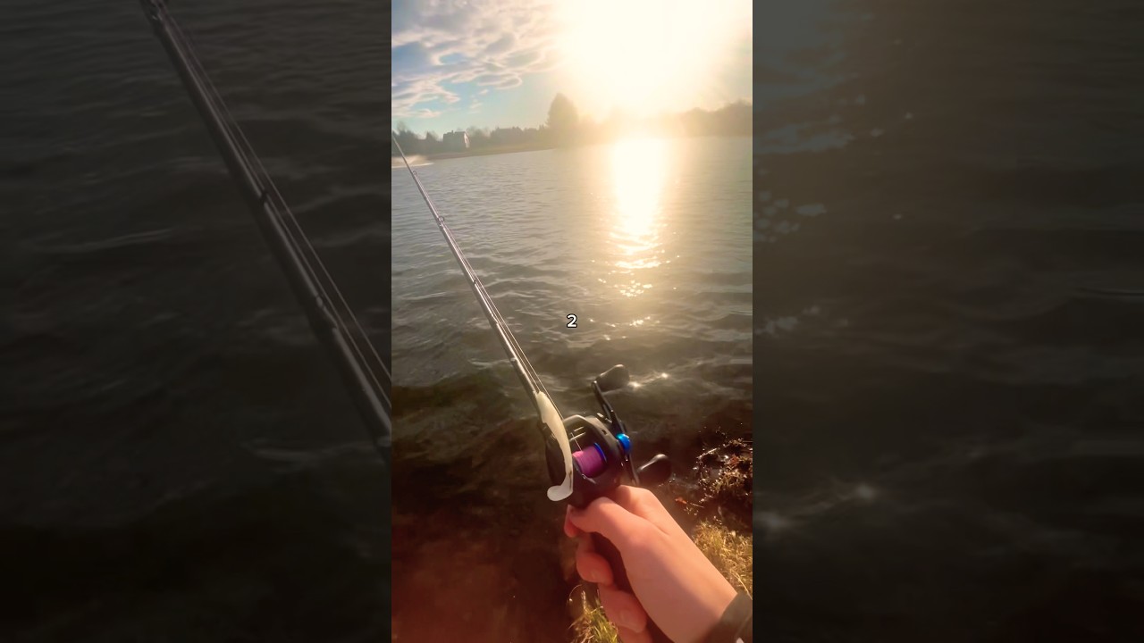 Where would you rather fish? #shorts #fishing - YouTube