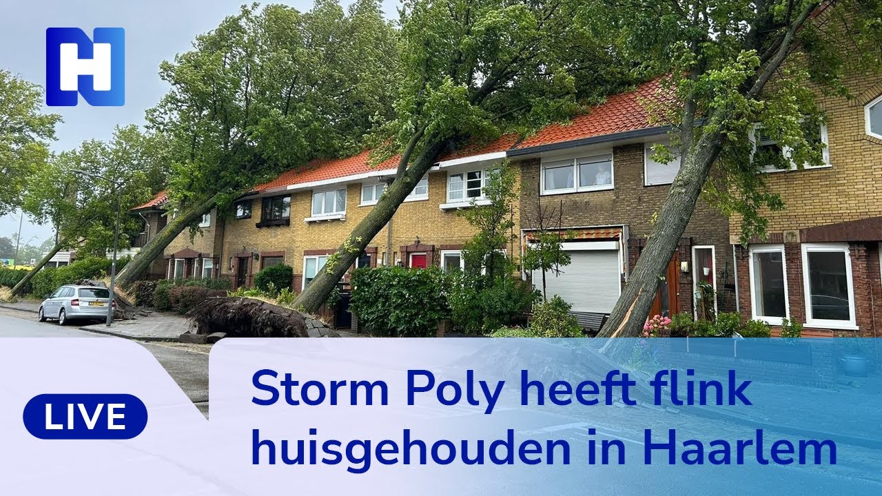 TERUGKIJKEN 🔴 Storm Poly heeft flink huisgehouden in Haarlem - YouTube