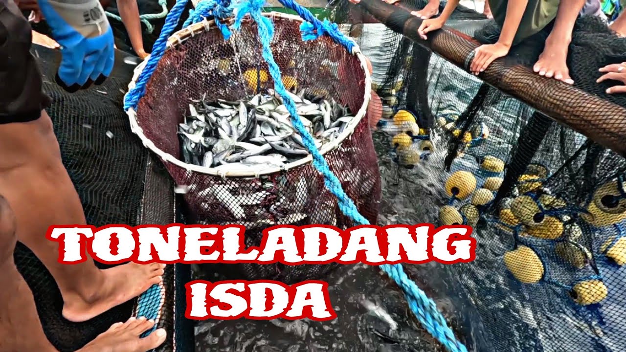 TONELADANG ISDA ANG NA HULI NAMIN | SALAMAT SA MARAMING BIYAYA NG DAGAT ...