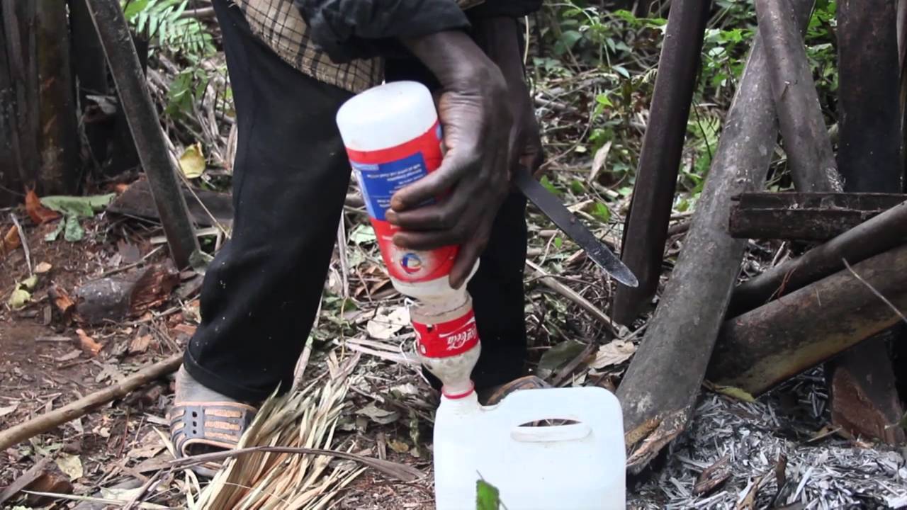 The Story of Mimbo - YouTube