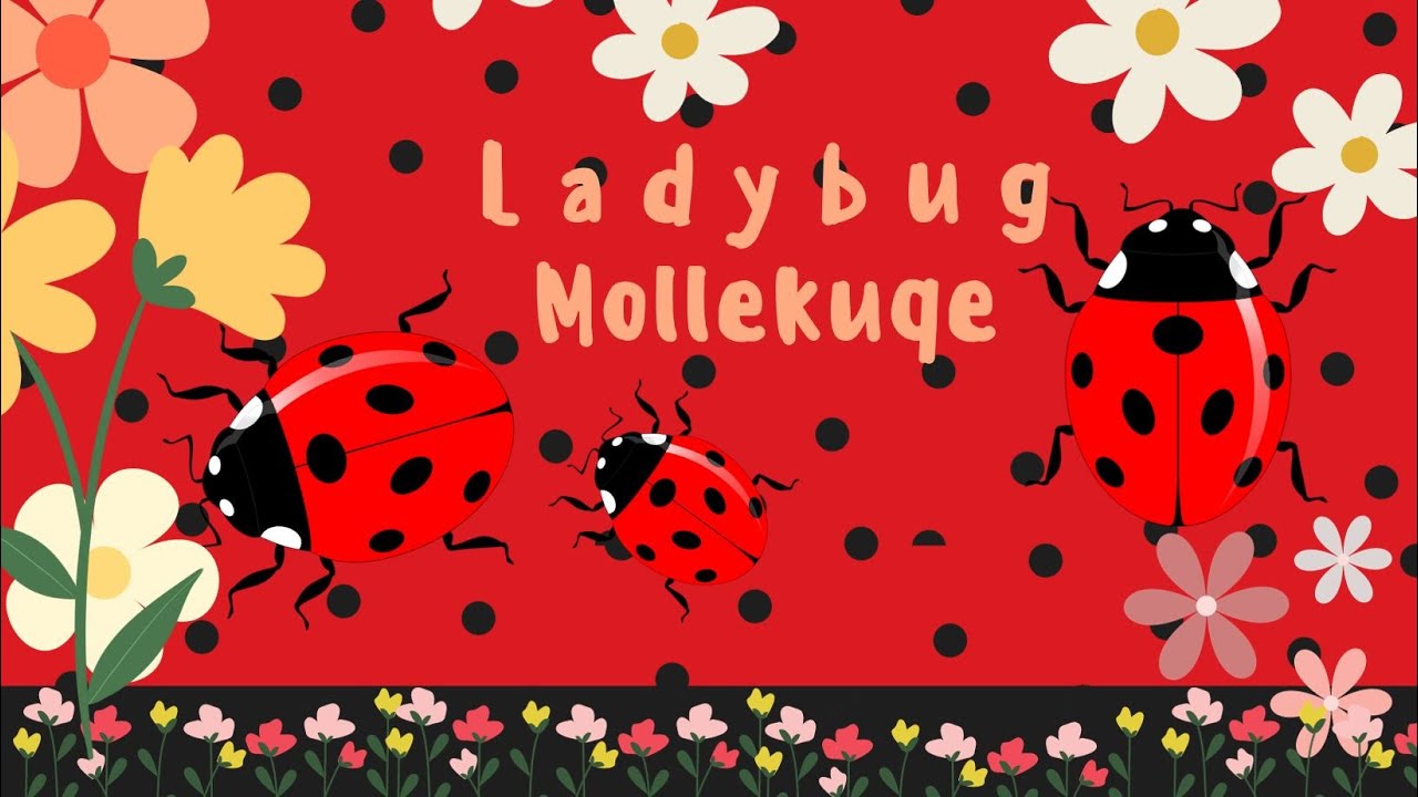 Mollekuqe ose Nusepashke Fakte #mollekuqe #fakte - YouTube