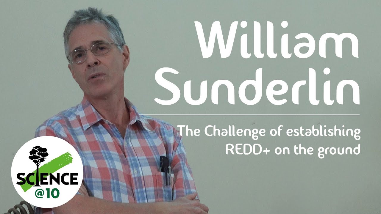 William Sunderlin on the challenge of establishing REDD+ on the ground ...