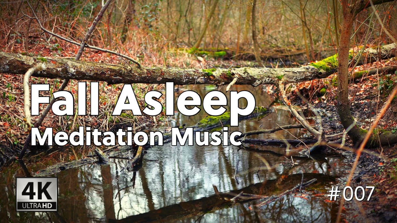 1h Meditation Music with Real Nature Sounds, Fall asleep in 5 Minutes ...