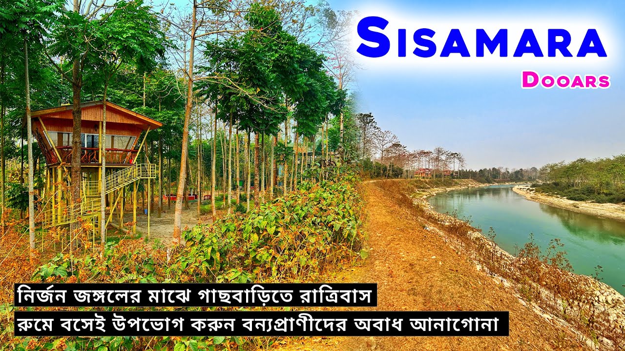 SISAMARA | JALDAPARA | DOOARS | Jungle Safari | Jaldapara Rhino Cottage ...