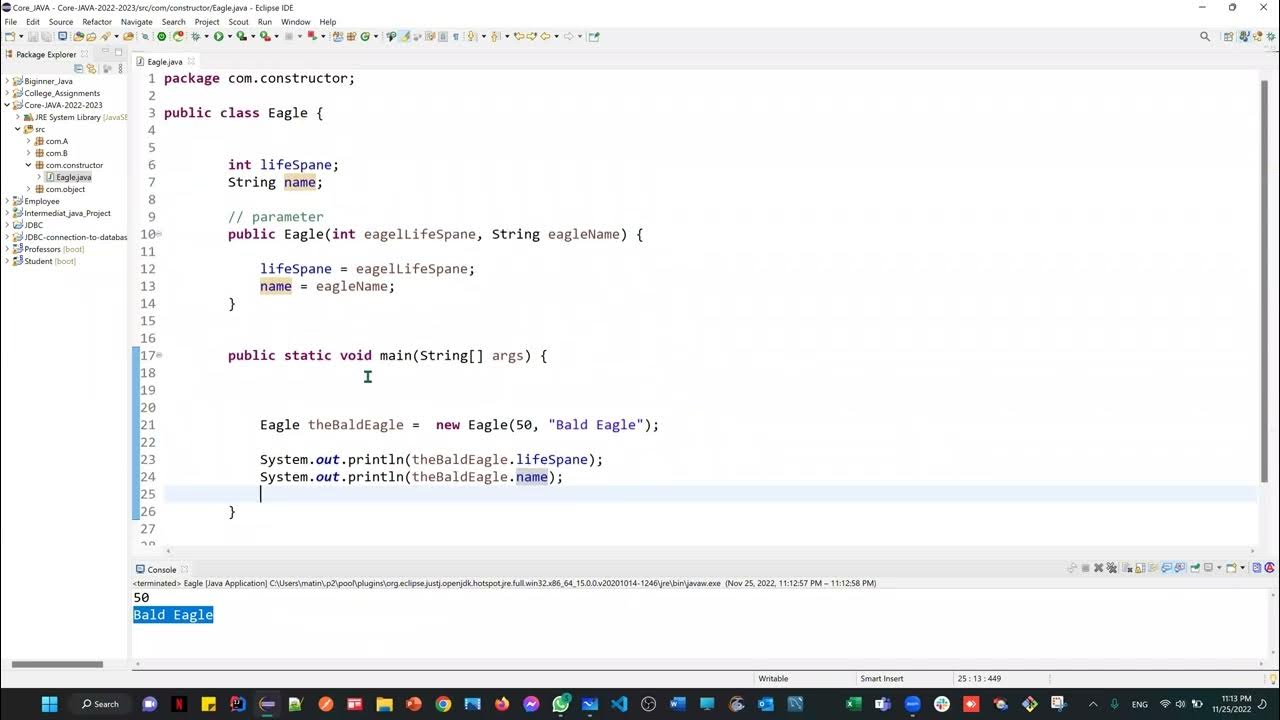 Assigning value to variables through Constructor -05 - YouTube
