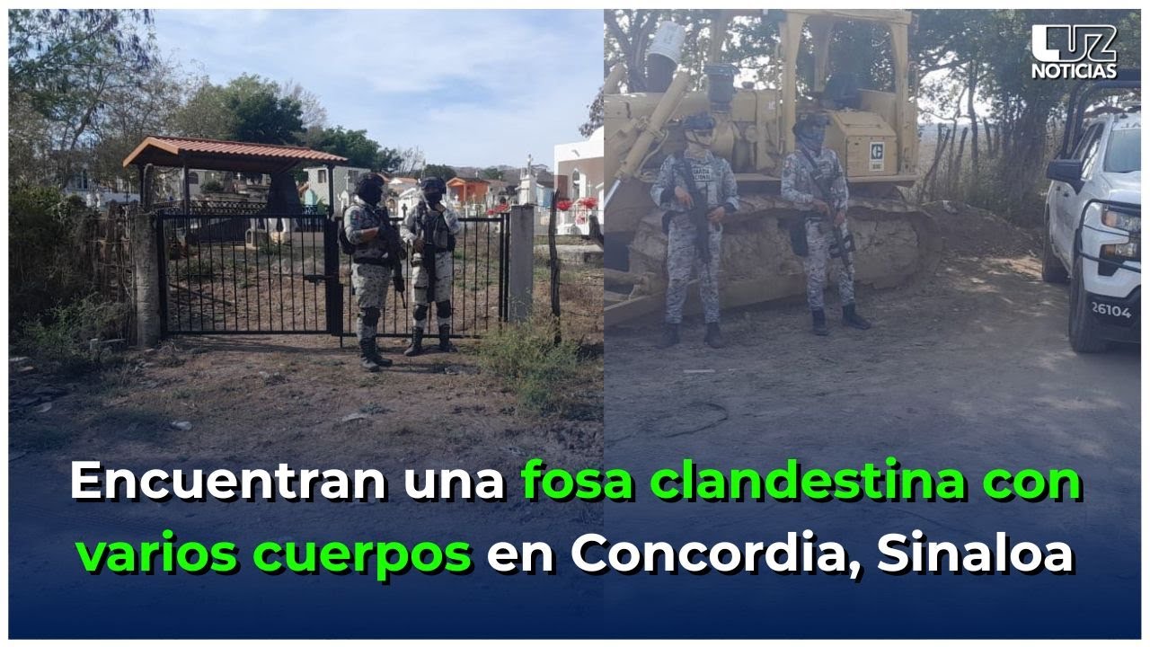 Encuentran una fosa clandestina con varios cuerpos en su interior, en ...
