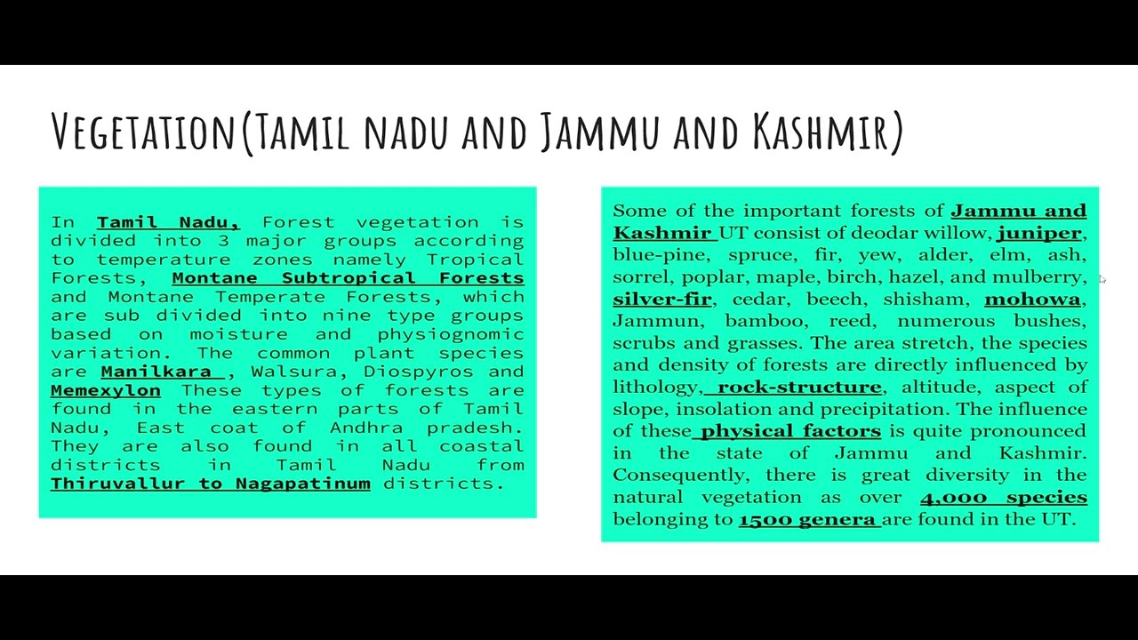 Class 9 CBSE Art integration Project (SST) - YouTube