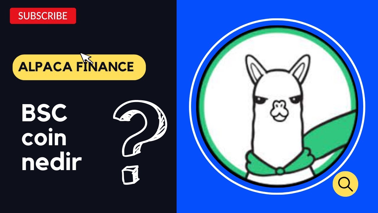 ALPACA FİNANCE coin nedir ⁉️ - YouTube