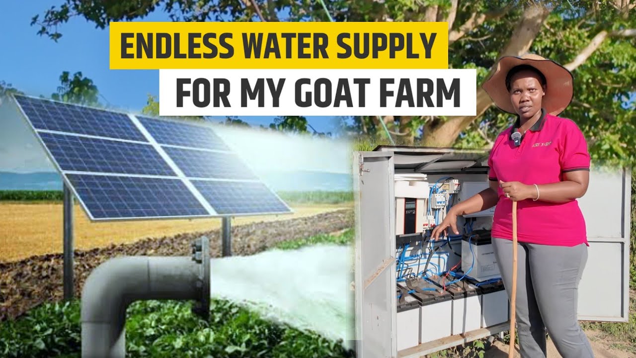 Cost Breakdown of Building a Solar Powered Water System That Gives Me ...