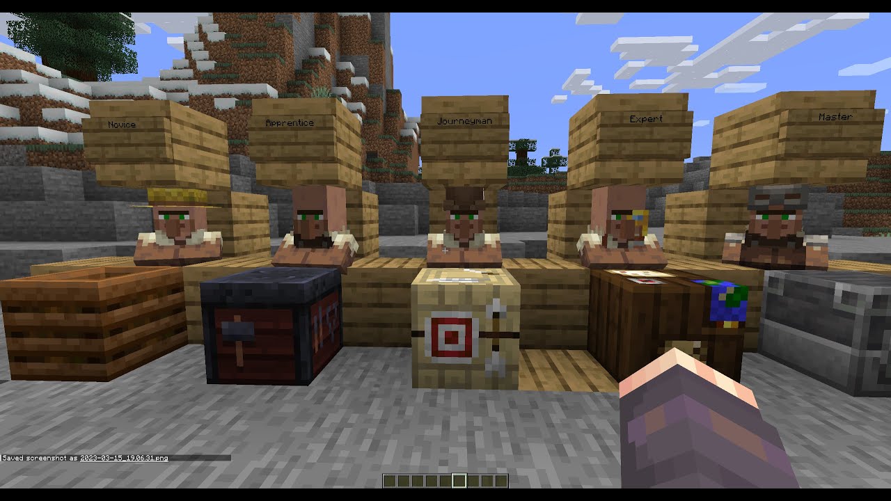 Every Villager Level In Minecraft! - YouTube