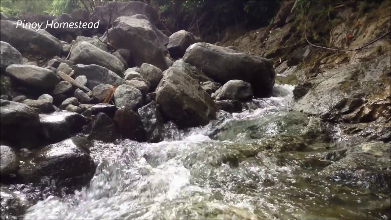 Natural Spring Water in the Philippines ( Lukutan River ) - YouTube