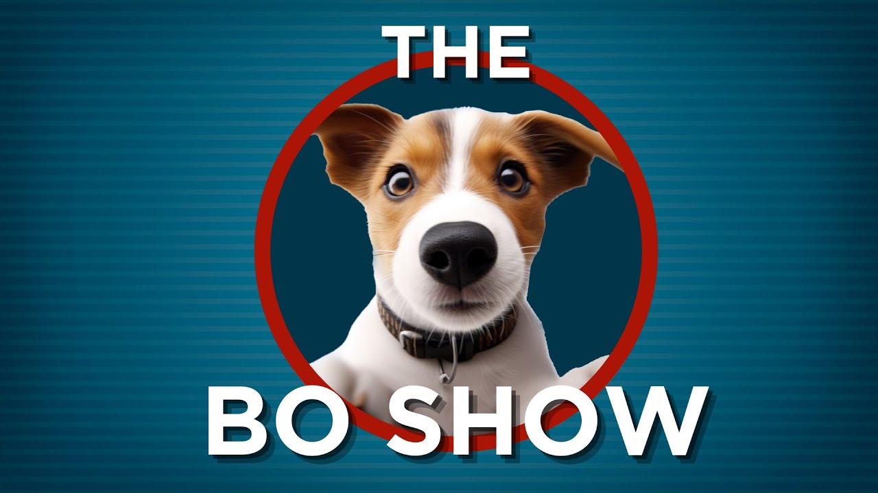 The Bo Show - Ep. 2 - Training a Puppy and Barn Hunt - YouTube