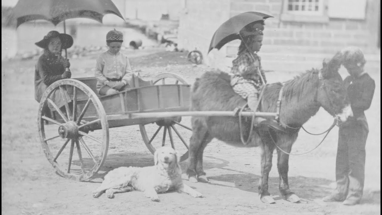 Vintage Daguerreotype Photos of Dogs From the 1840s and 1850s - YouTube