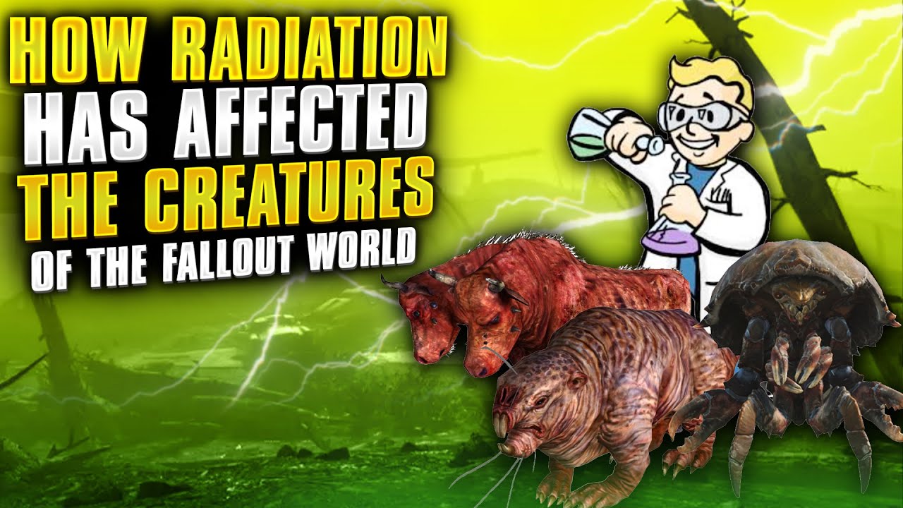 How Radiation Has Affected The Creatures Of The Fallout World - YouTube