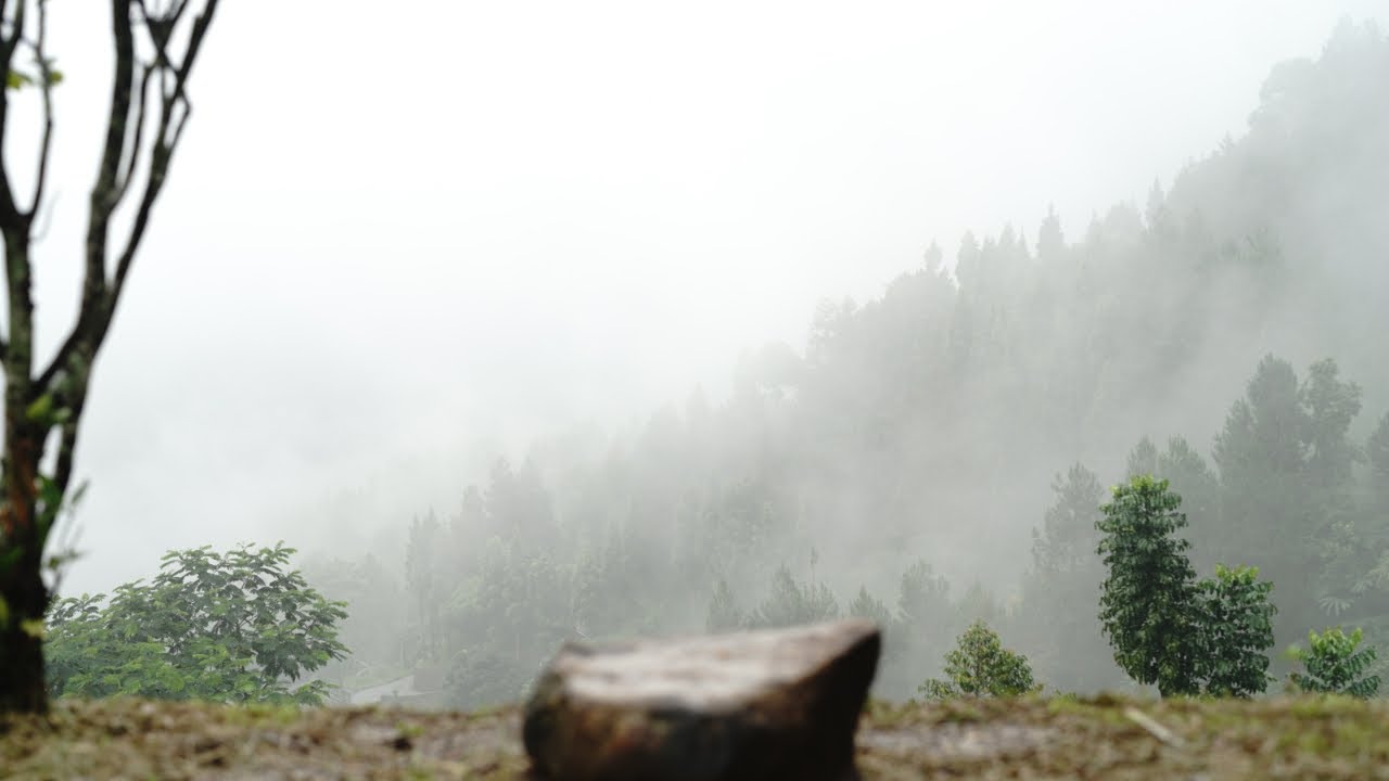 Heavy Rain ASMR || Bukit Citamiang Camping Ground - YouTube