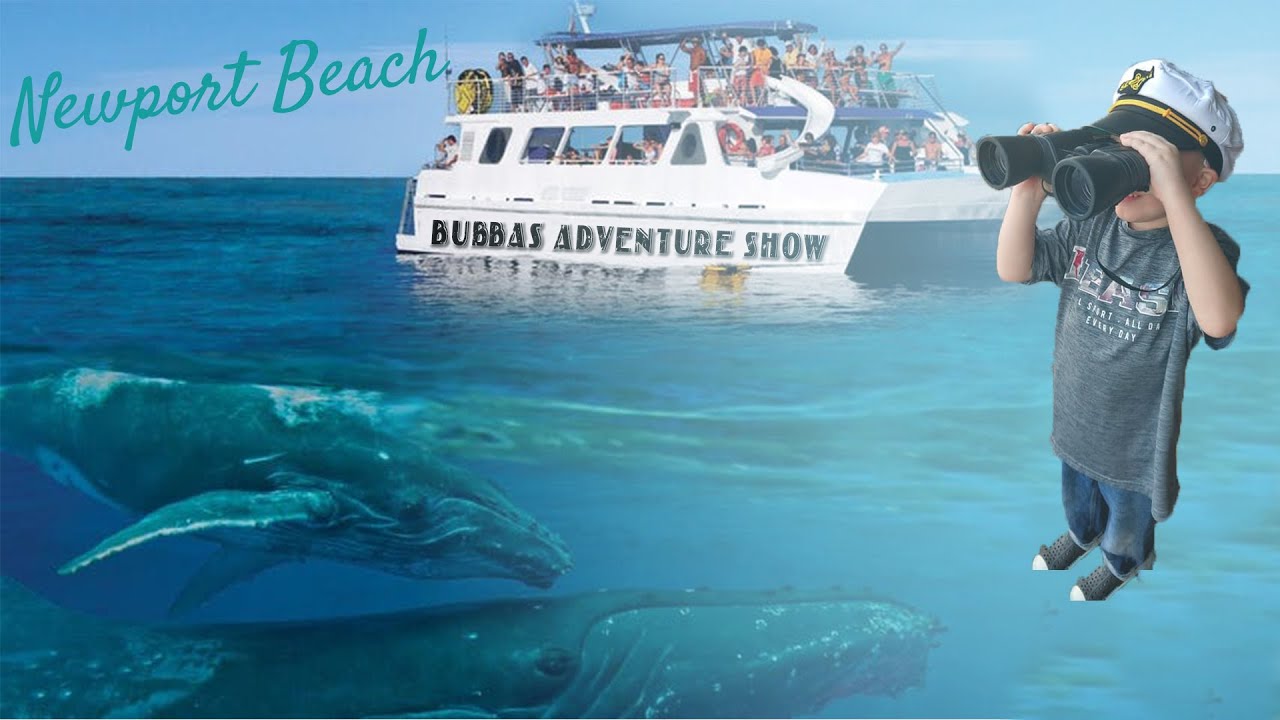 Newport Beach Kids Travel Experience | Bubbas Adventure Show - YouTube
