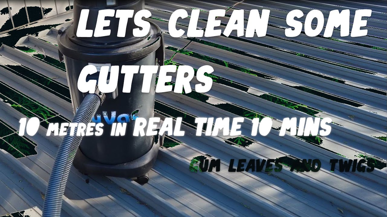 Gutter Vacuum Getting INTO Gum Leaves | Cleaning Gutters with a Vacuum ...