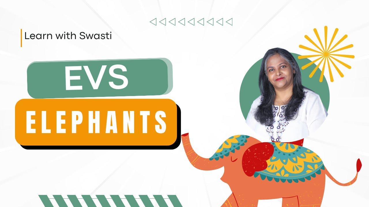All About Nandu the ELEPHANT | EVS | CTET Paper 1 - YouTube