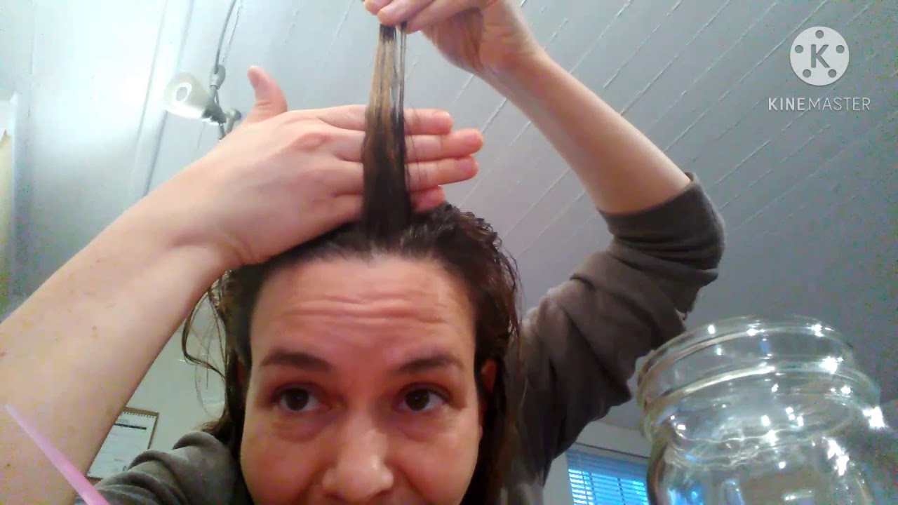 Can Arctic Fox "Sterling" Hair Color turn my dark hair silver? Product ...