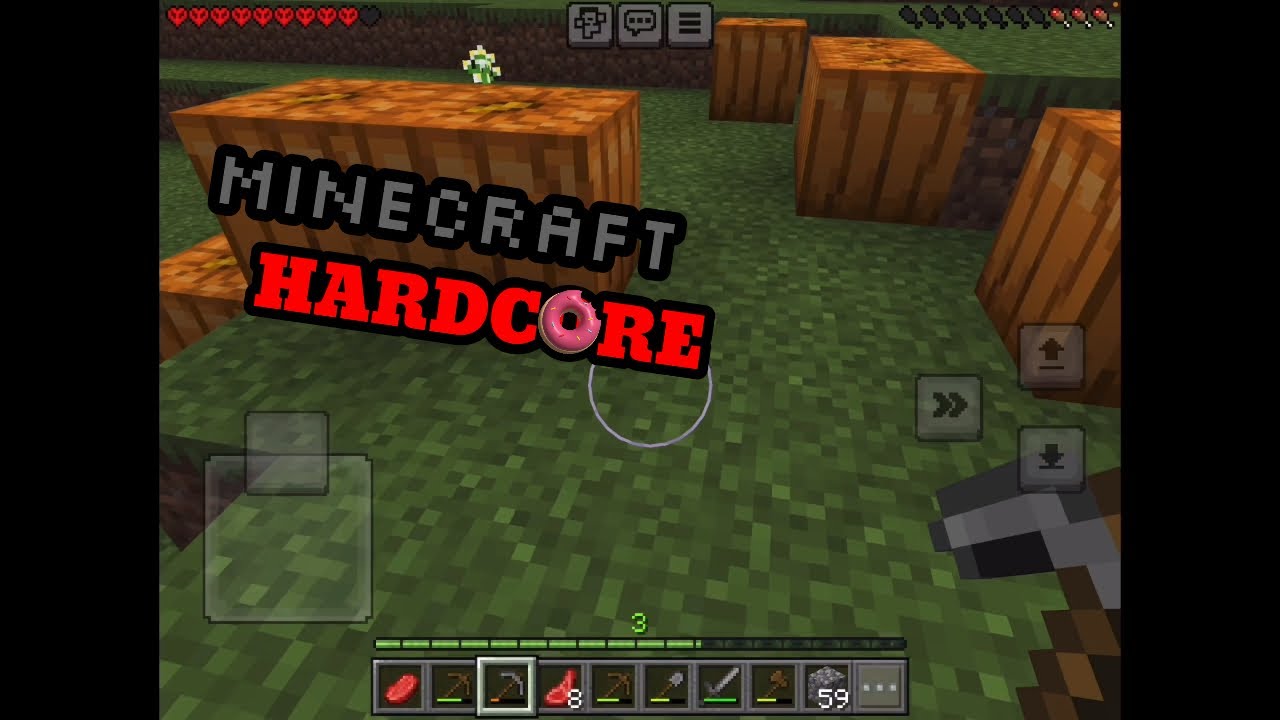 “MINECRAFT HARDCORE CHALLENGE! 💀 🔥 No Respawn, No Mercy!” - YouTube
